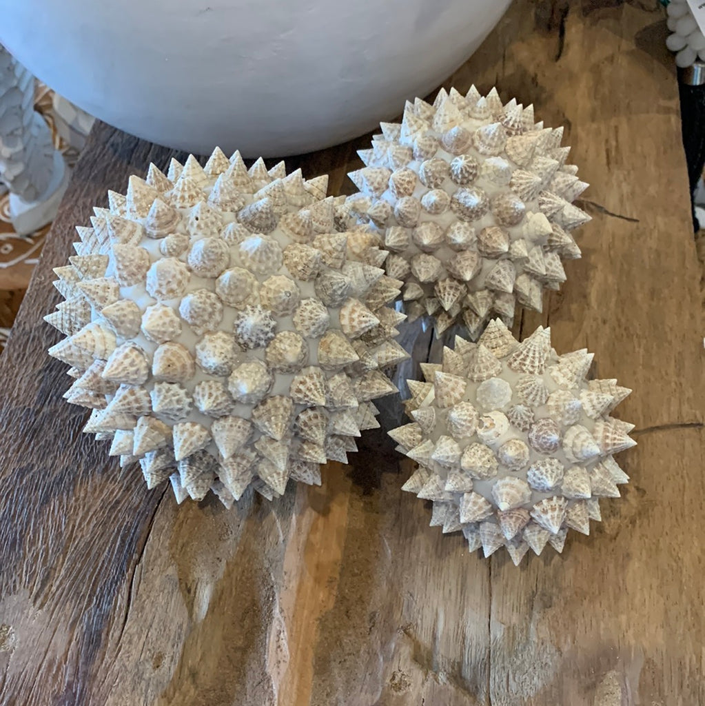 Set 3 shell balls. Pointy shell – Bali Beach Beyond