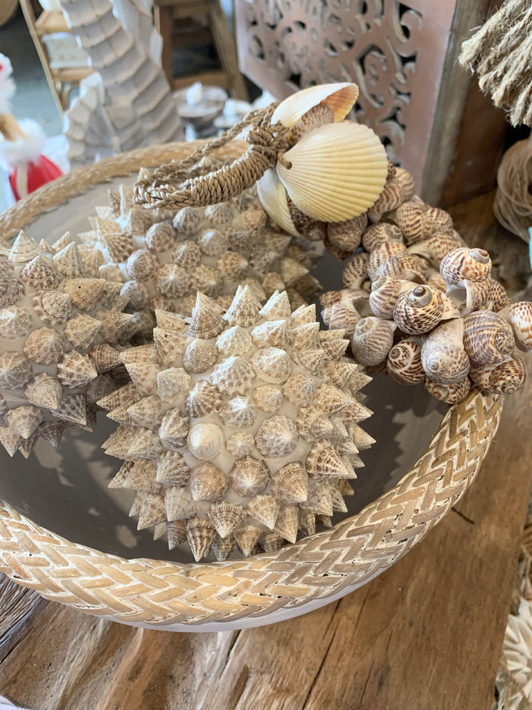 Natural shell cluster. Style 2 – Bali Beach Beyond