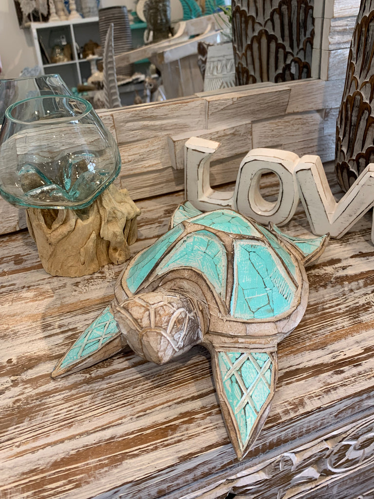 Medium turquoise timber turtle. – Bali Beach Beyond