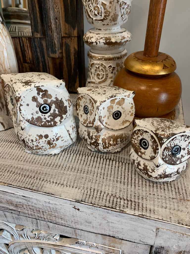 Rustic white timber owls. Set 3 – Bali Beach Beyond