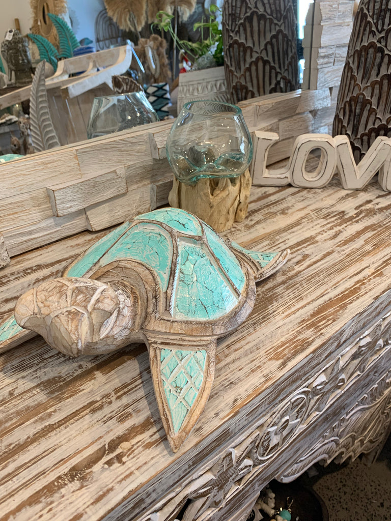 Large turquoise timber turtle. – Bali Beach Beyond