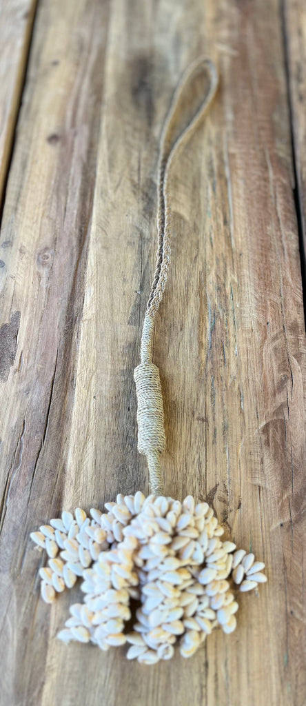 Long natural shell cluster – Bali Beach Beyond